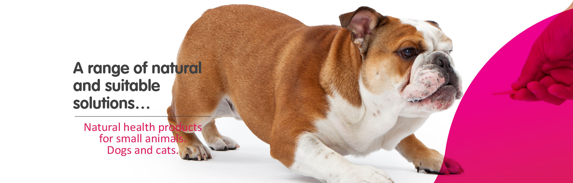 Animacare – Produits de santé naturels pour les chiens et les chats